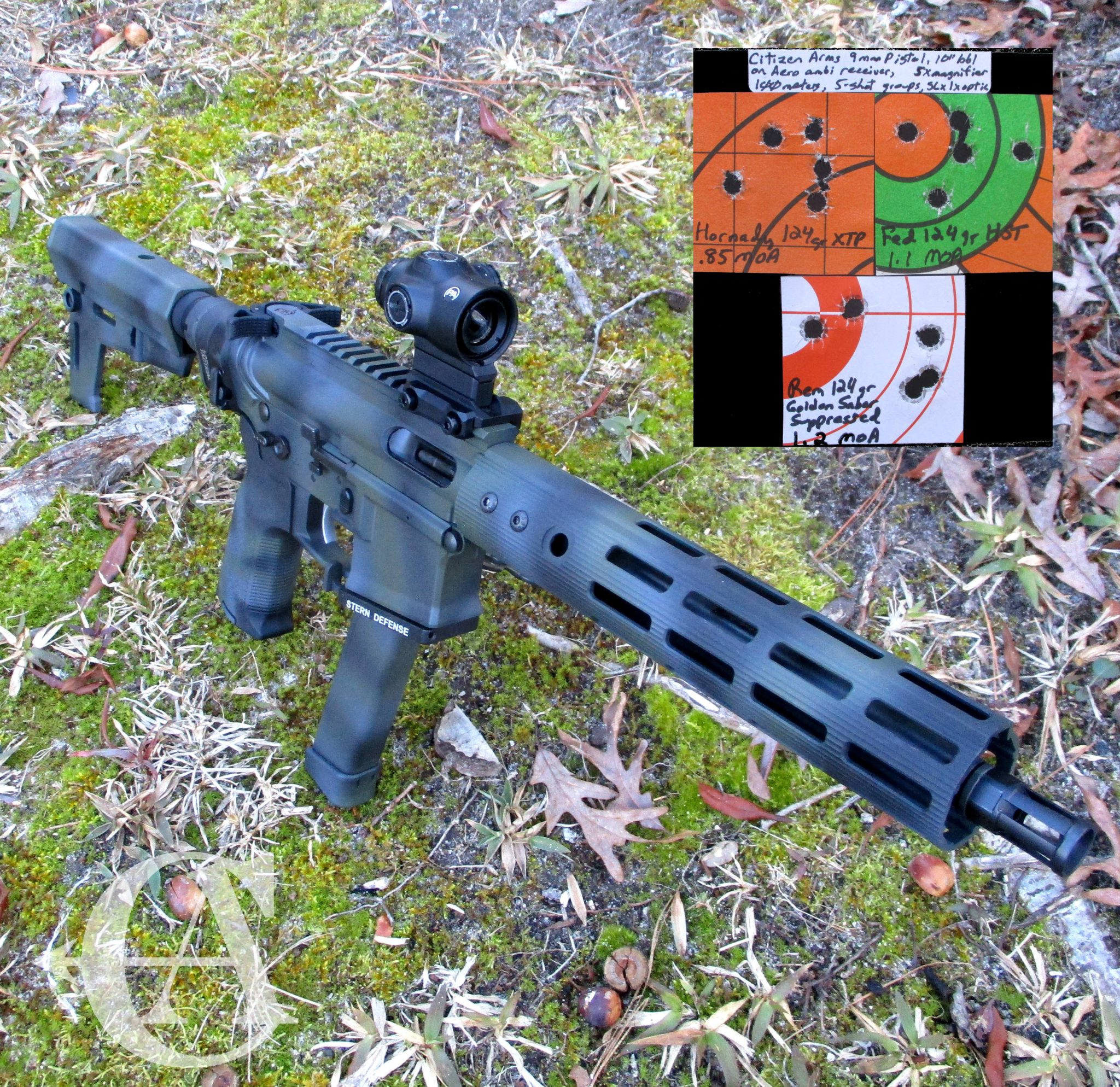 Citizen Arms Custom ARs